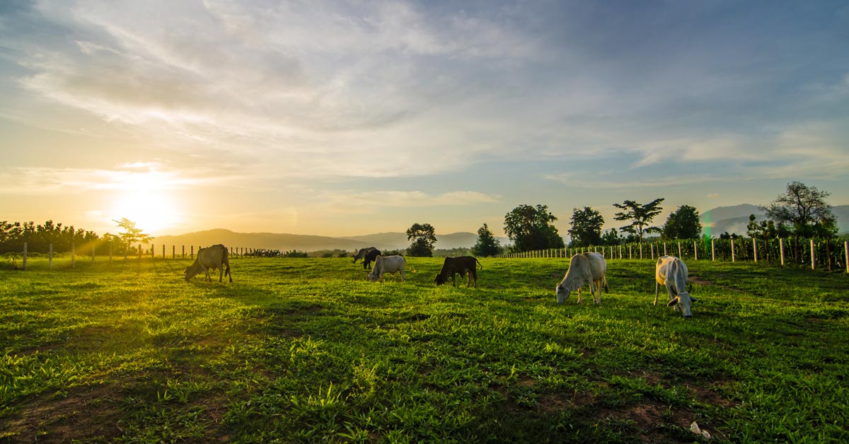 Rural, Acreage and Hobby Farms - A2Z finance and Mortgage